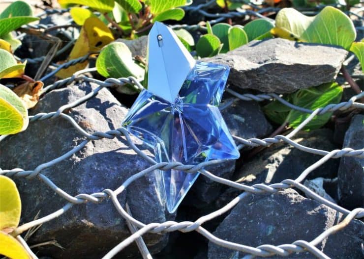 10 Best All-Time Classic Perfumes For Woman | Everfumed | The Art of ...