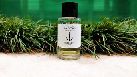 22 Best Aquatic Fragrances of All Time - Everfumed | Fragrance Notes
