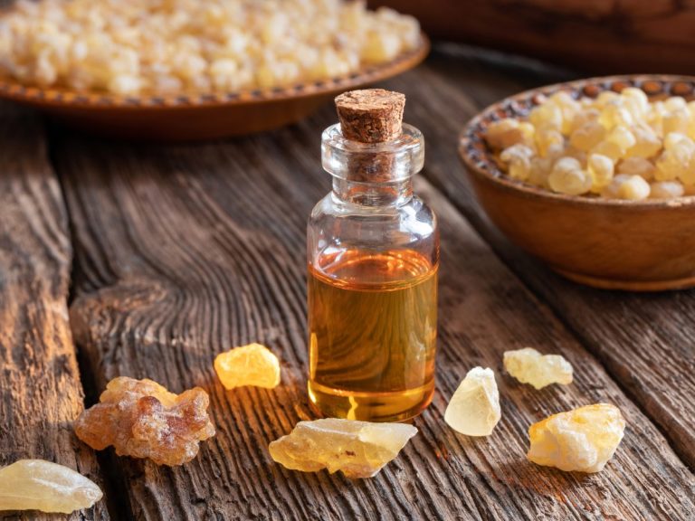 6 Best Frankincense Perfumes: Earthy, Historic & Iconic | Everfumed ...