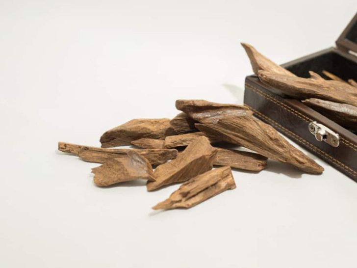 11 Best Oud Perfumes (That Aren’t Overwhelming) | Everfumed Fragrance Shop