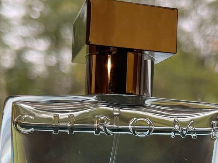 8 Best Versace Colognes For Luxury-Oriented Men | Everfumed Fragrance Shop